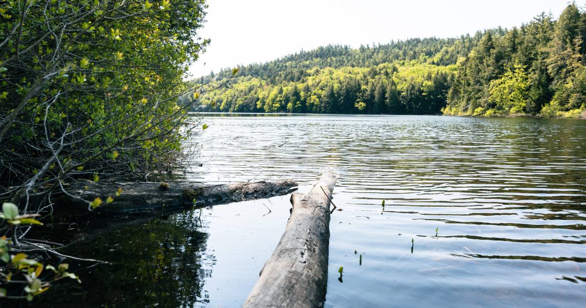 Hammond Pond Wild Forest | Adirondack Hub