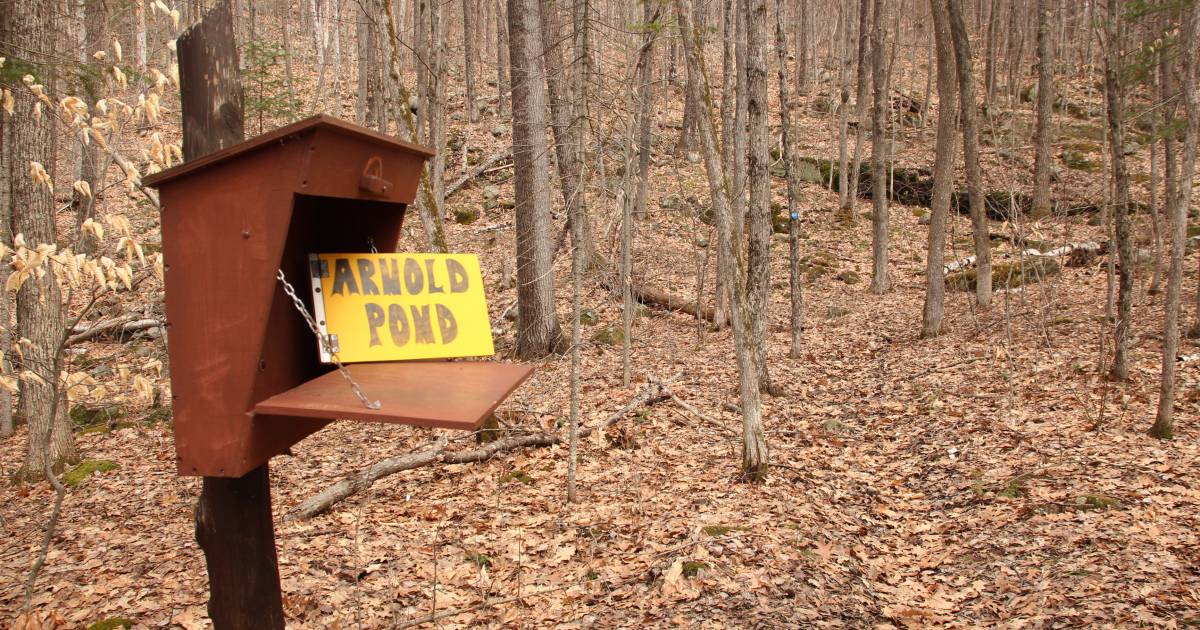 A Real Spring Beauty: Arnold Pond | Adirondack Hub