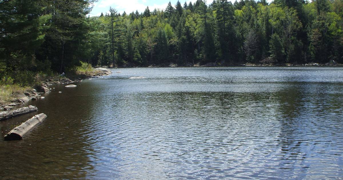 Crane Pond | Adirondack Hub