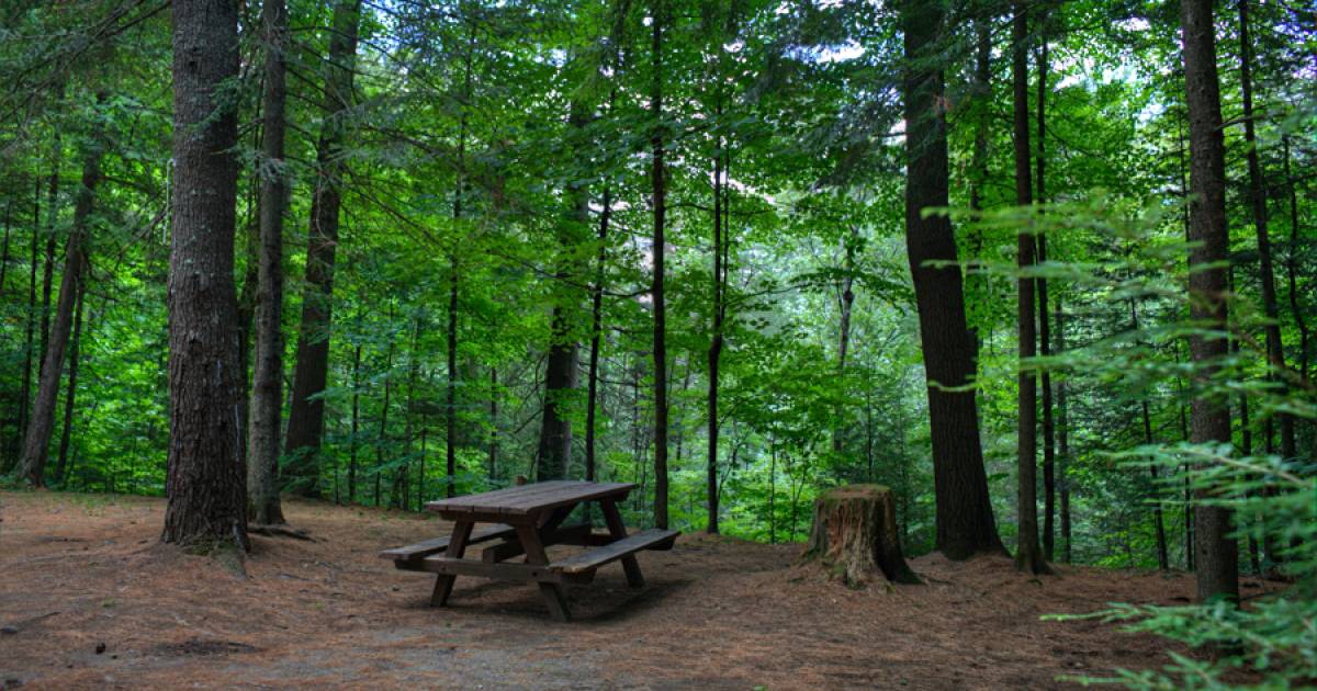 Sharp Bridge State Campground | Adirondack Hub
