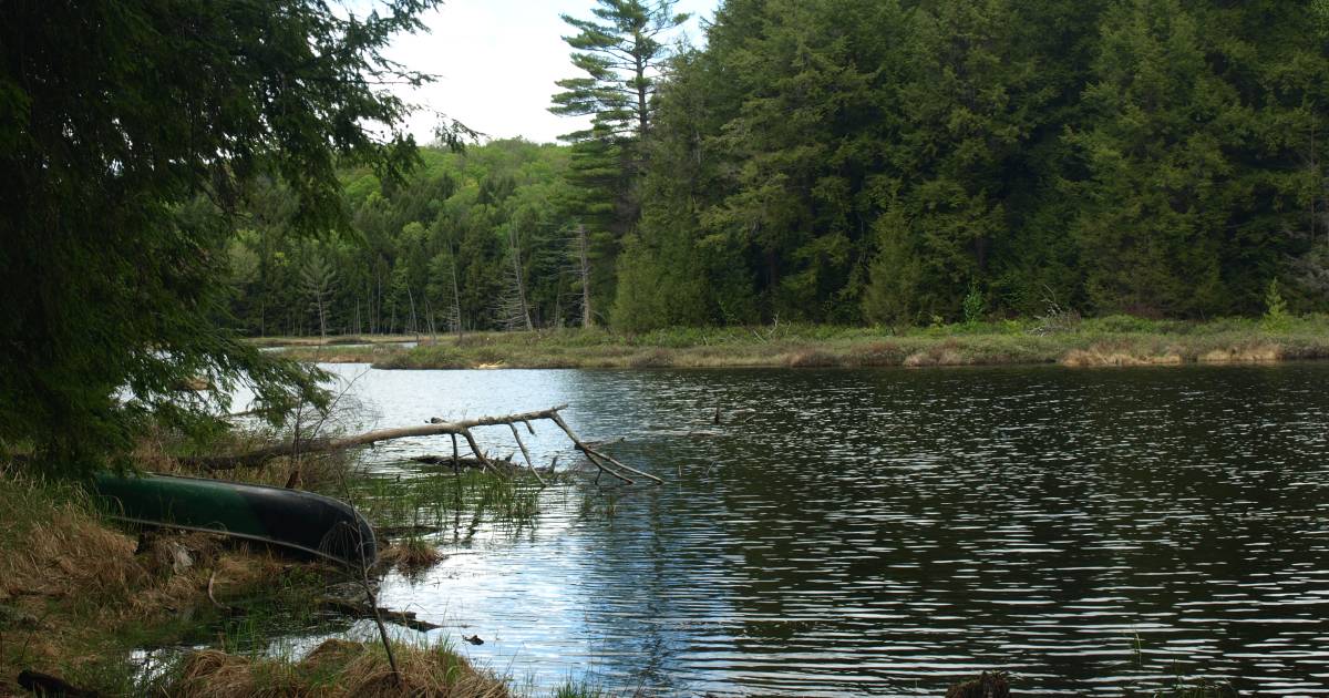 Goose Pond | Adirondack Hub