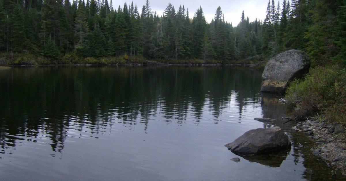 Lester Flow | Adirondack Hub