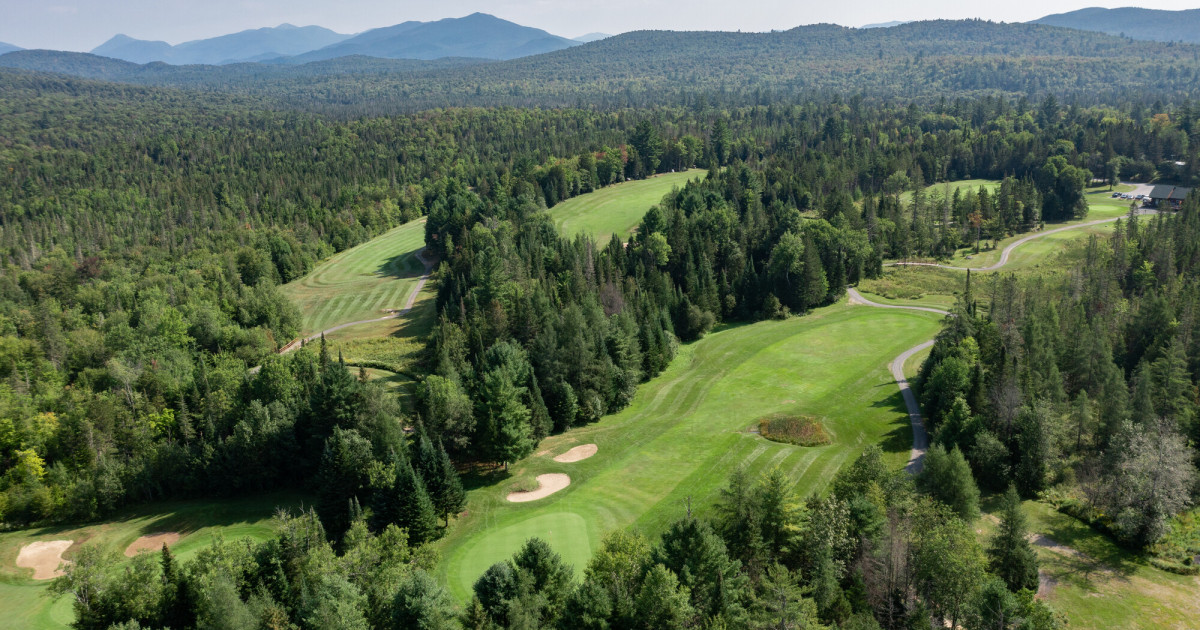 A Little Birdie Told Me … | Adirondack Hub