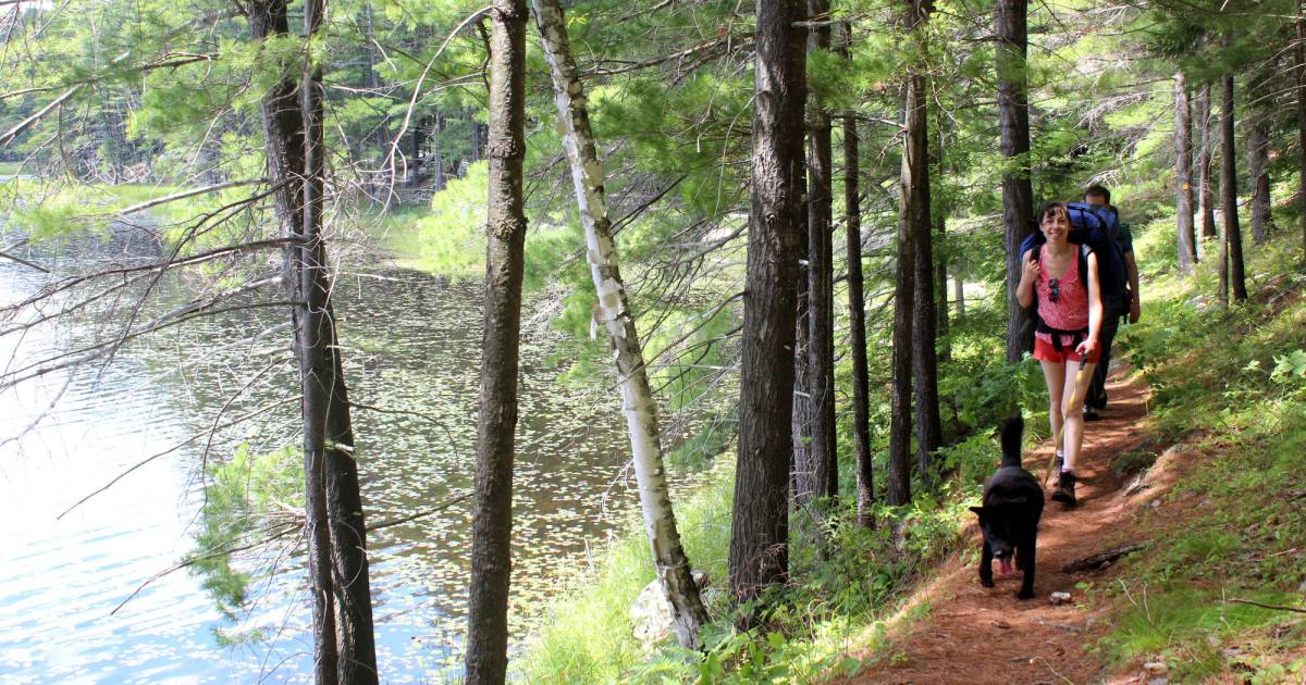 A Beginners Guide to the Pharaoh Lake Wilderness | Adirondack Hub