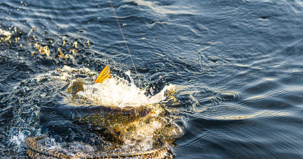 REELy Good Fishing in the Hub | Adirondack Hub