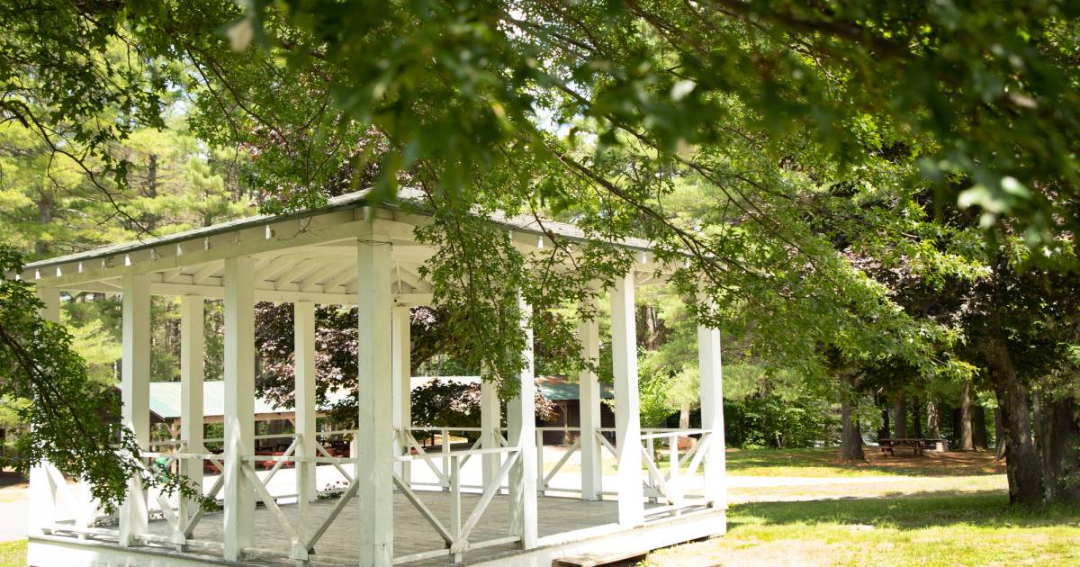 Meet Minerva! | Adirondack Hub