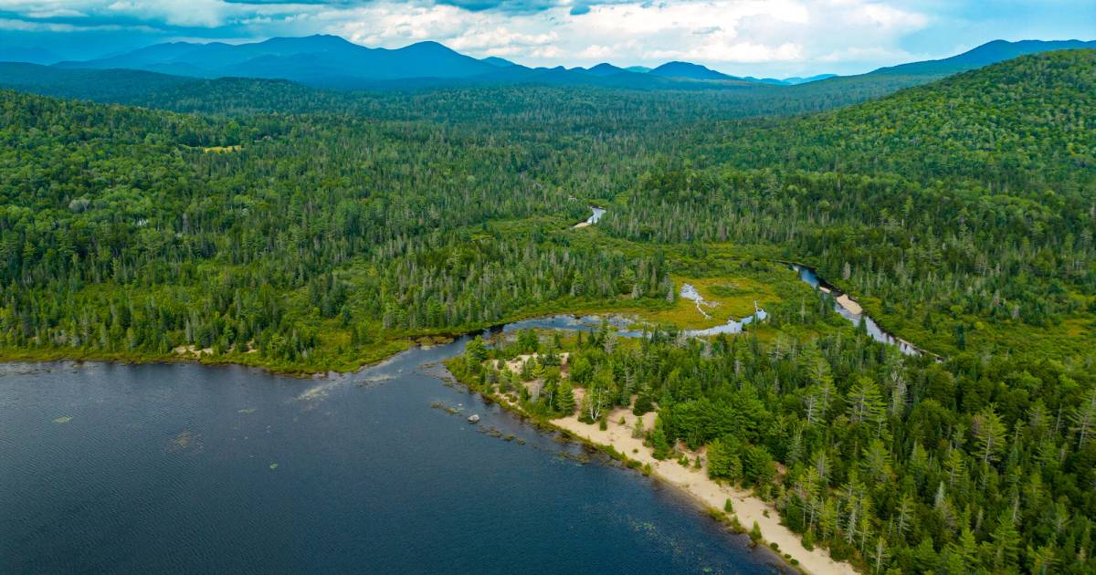 Cheney Pond | Adirondack Hub