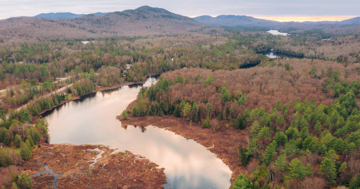 Pack Canoes: History and Adventure in a Piece of Adirondack Craft ...