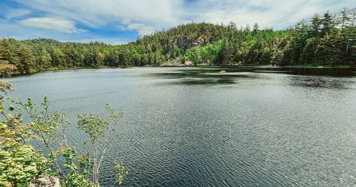 Gull Pond | Adirondack Hub