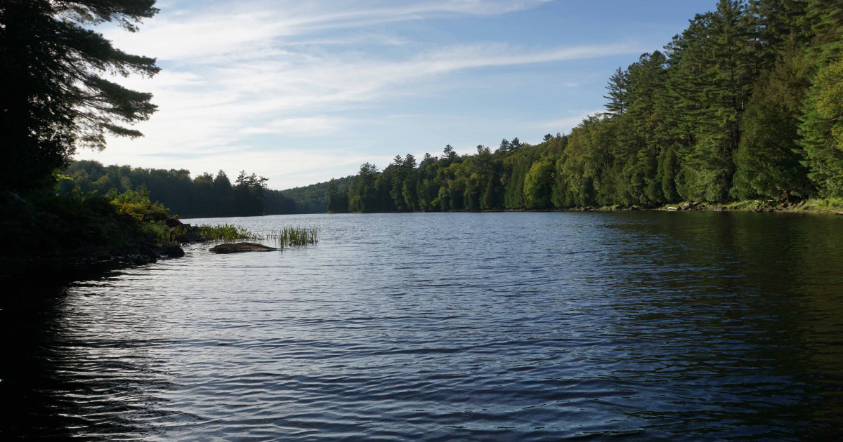 An Early Fall Paddle on Rich Lake | Adirondack Hub