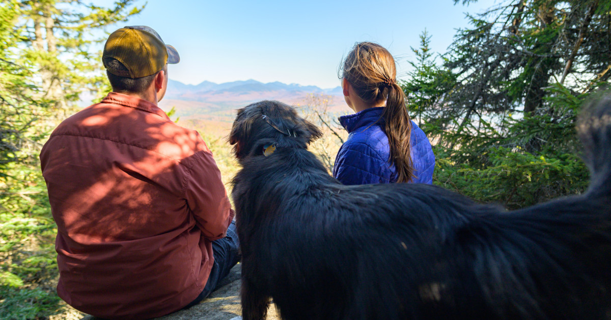 Safe Hiking During Hunting Season | Adirondack Hub