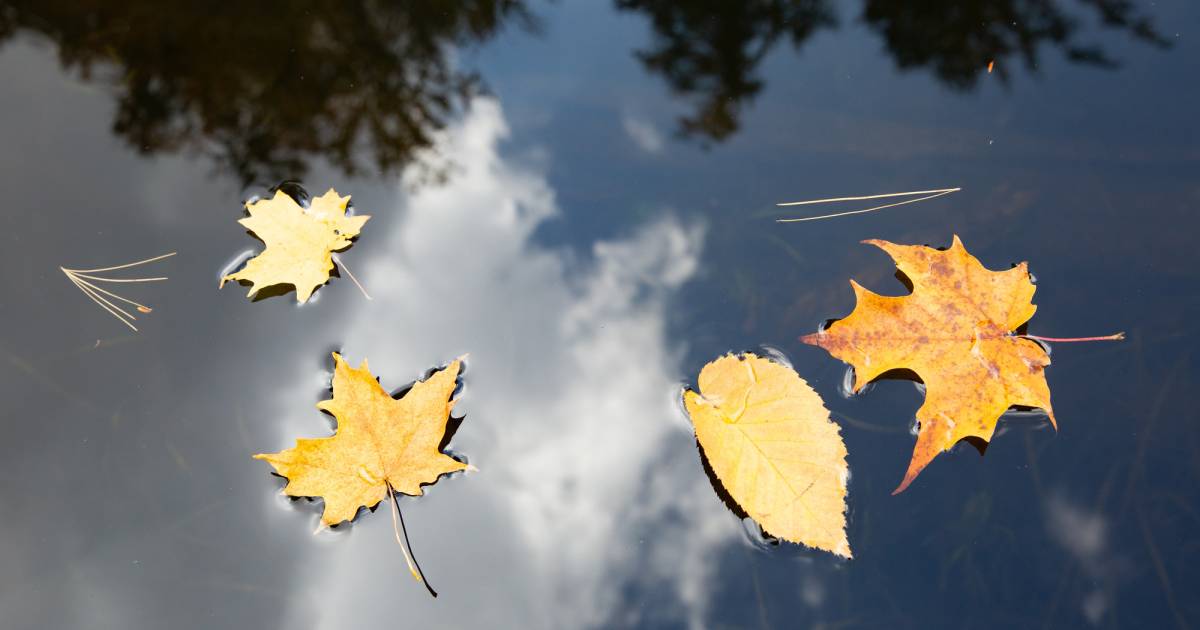 The Best Leaf Peeping Spots You've Probably Never Heard Of | Adirondack Hub