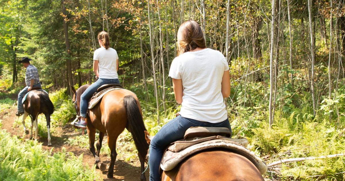 Horseback Riding | Adirondack Hub