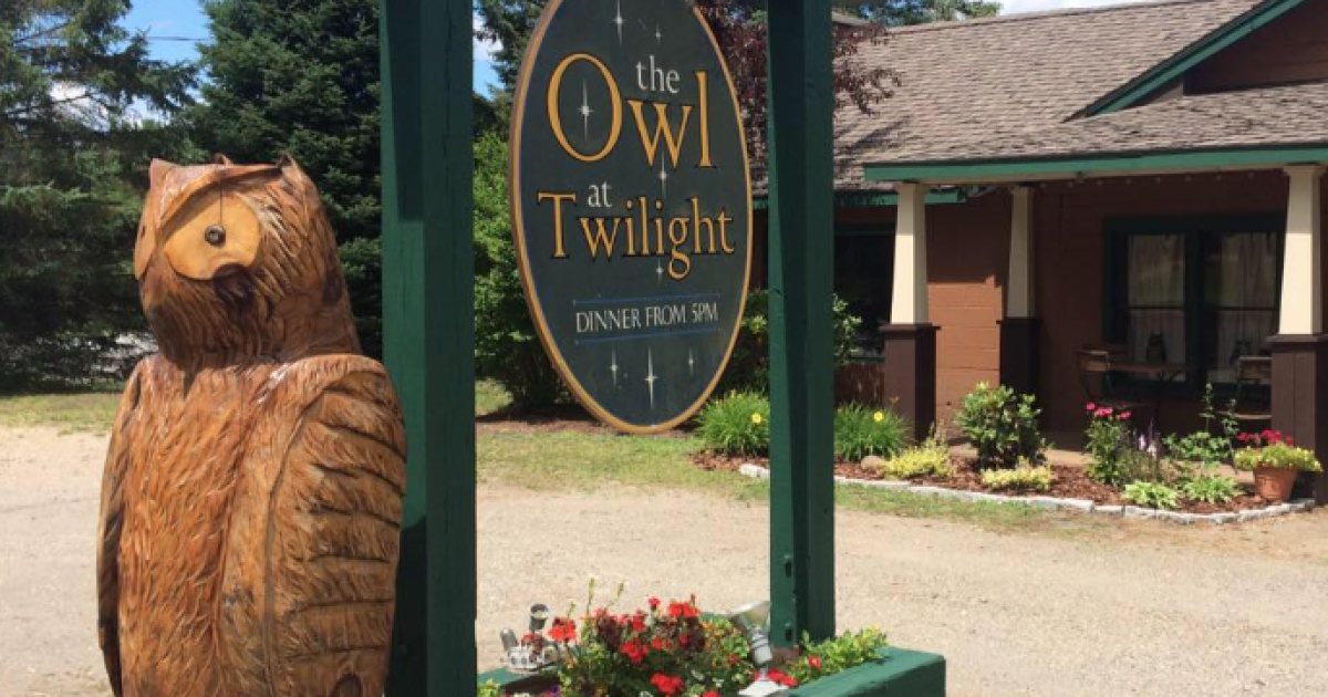 The Owl at Twilight | Adirondack Hub
