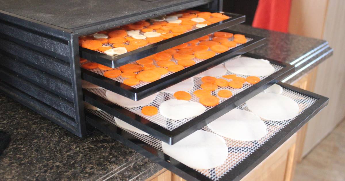 Drying for summer | Adirondack Hub